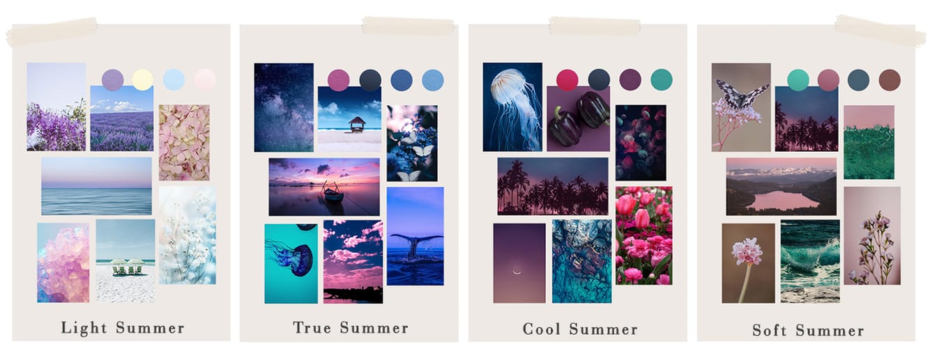 Summer Seasonal Sub Types Explained I Kettlewell