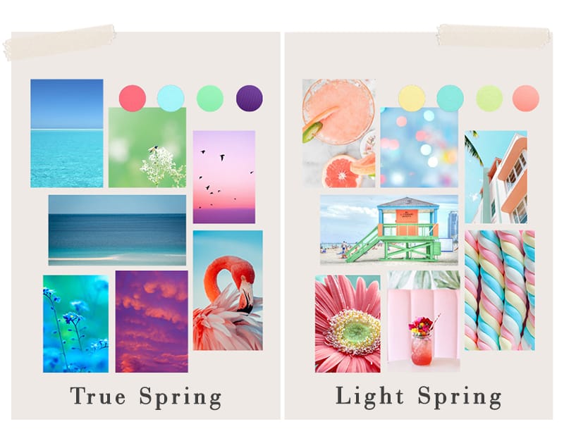 Spring Colours - The Different Types | Kettlewell Colours